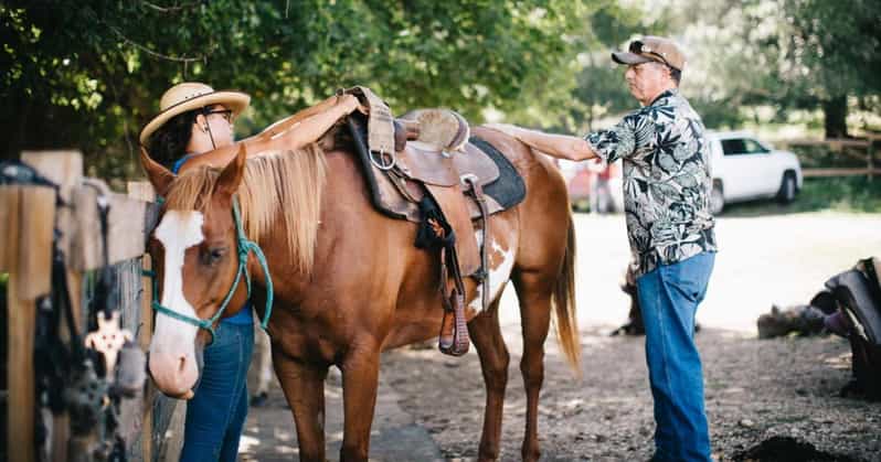Austin: Maverick Horsemanship Trail Ride | GetYourGuide