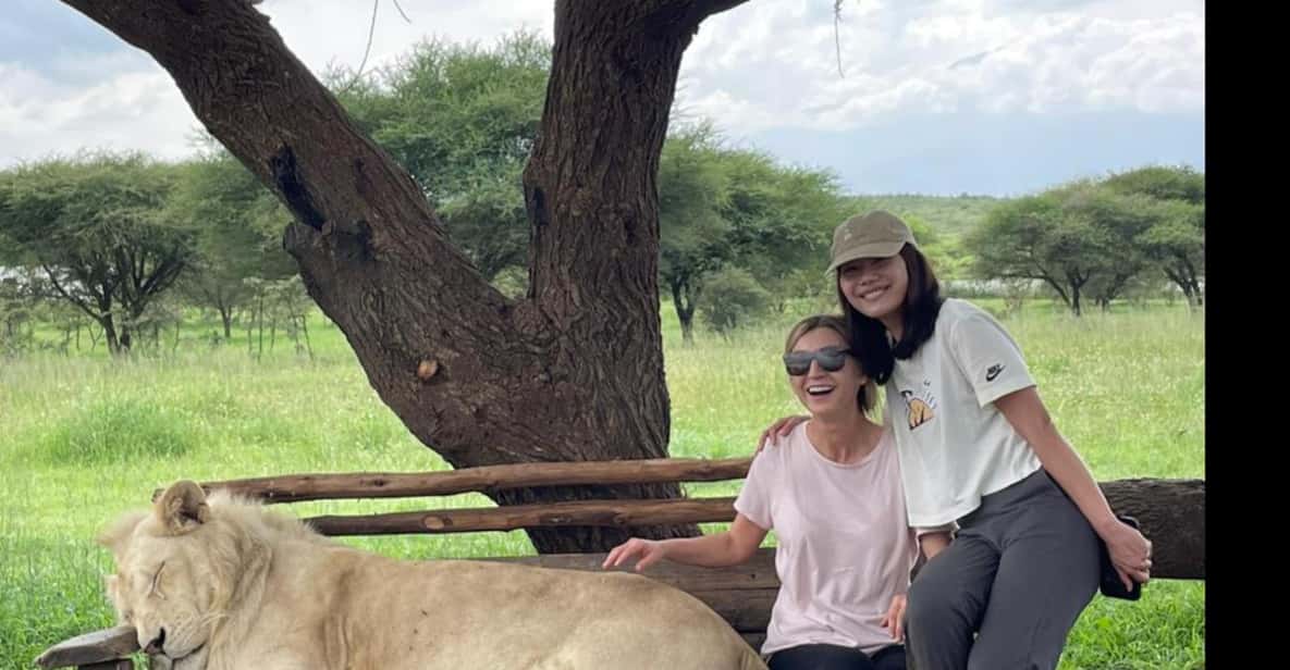 Arusha: Excursão de um dia à Serval Wildlife - alimenta as girafas e os ...