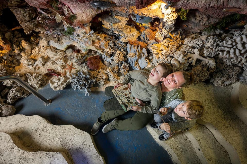 The Hague: Muzee Scheveningen History Museum Entry Ticket | GetYourGuide