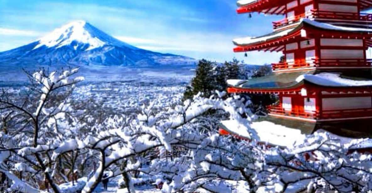Da Tokyo: Tour privato del Monte Fuji su misura | GetYourGuide