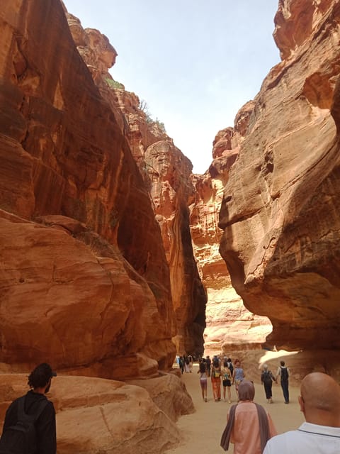 From Amman: One day tour to Petra | GetYourGuide