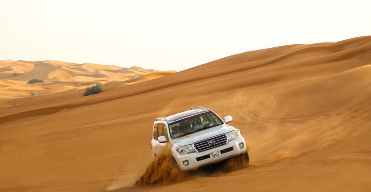 Doha: camel ride,falcon,safari,sand boarding,inland sea tour | GetYourGuide