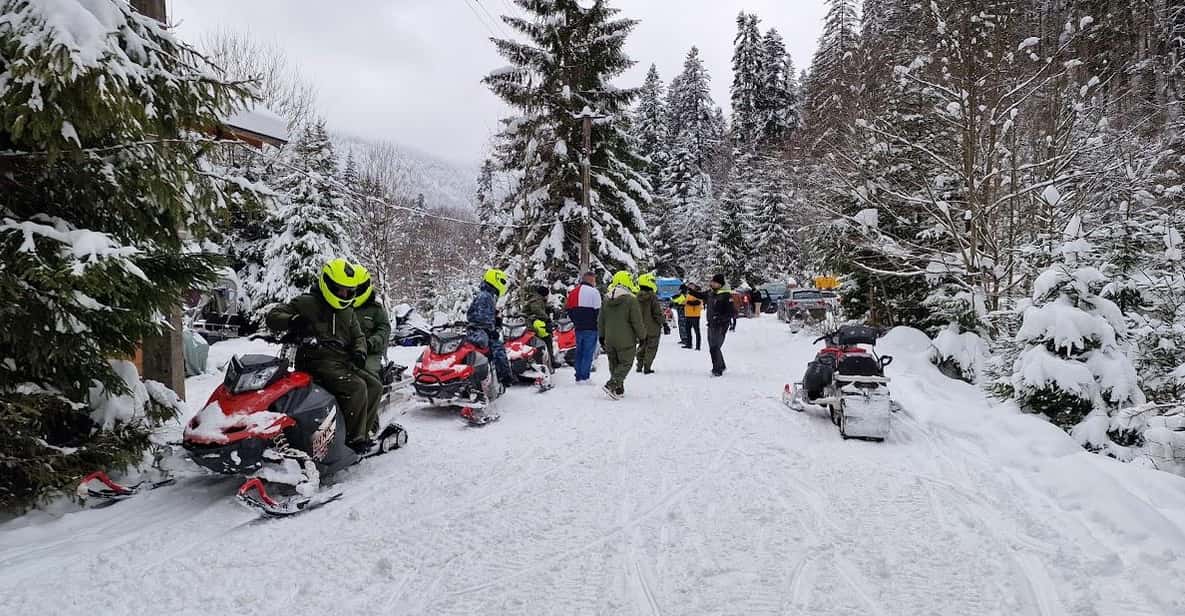 Bucharest: Snowmobile Tour with Peleș Castle and Cable Car | GetYourGuide