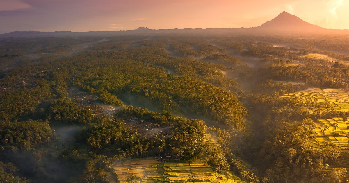 Ubud Bliss Tour - Rice terrace, monkey forest, infinity pool | GetYourGuide