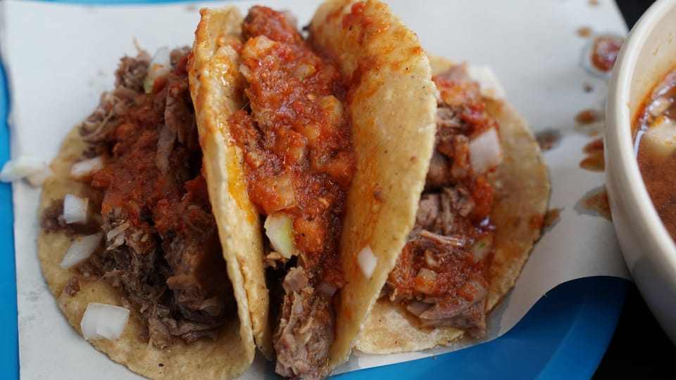 México City: Authentic Mexican food Colonia Roma | GetYourGuide
