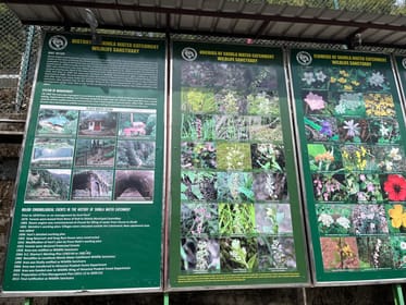 Shimla: Wildlife Sanctuary & Water Catchment Guided Tour | GetYourGuide