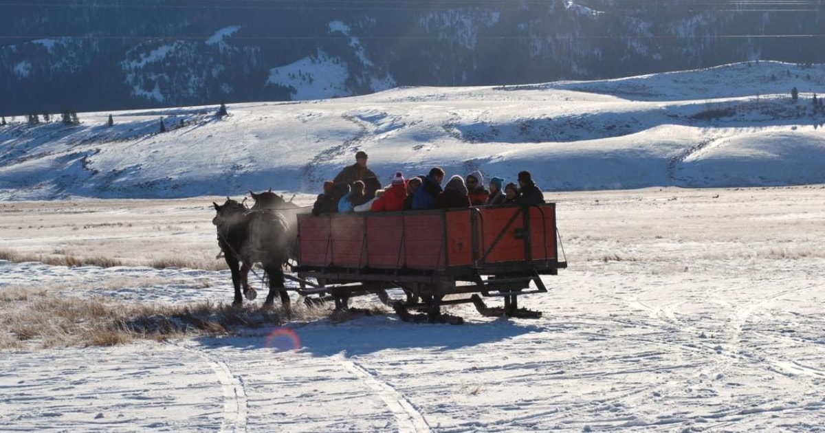 Jackson Hole: National Elk Refuge Sleigh Ride | GetYourGuide