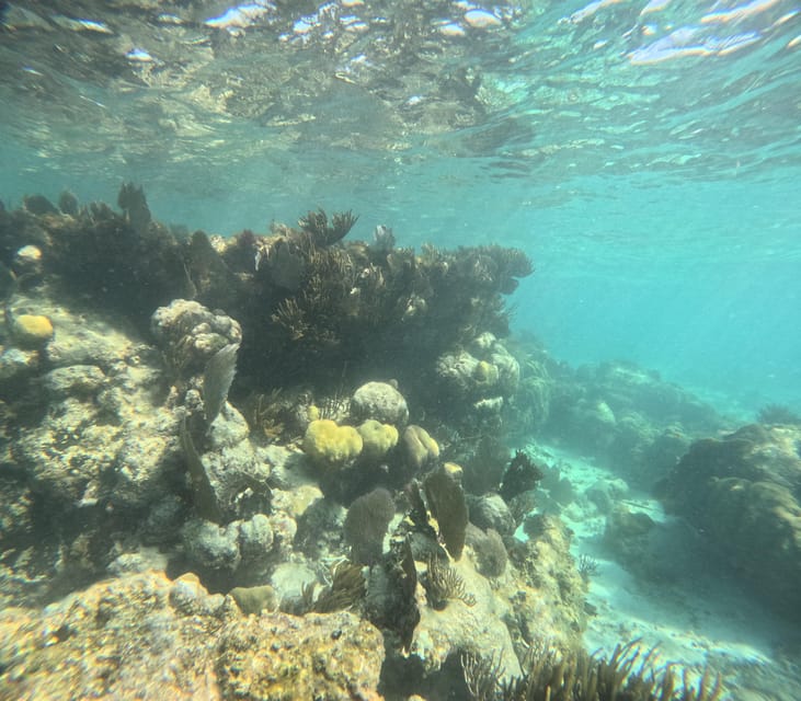 Snorkel Paradise Cancun and underwater museum in Nizuc | GetYourGuide