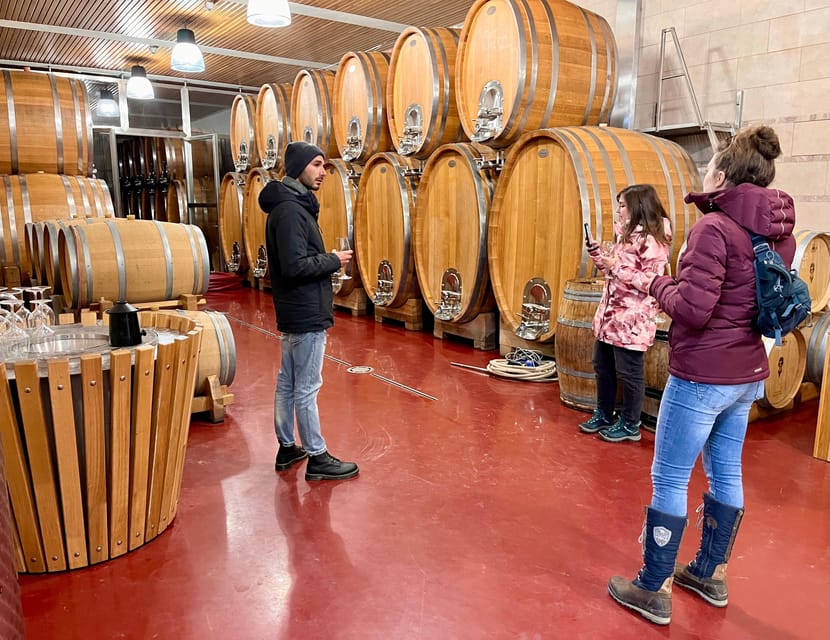 Czech Vineyards and Wine Tasting 4WD Tour with Lunch | GetYourGuide