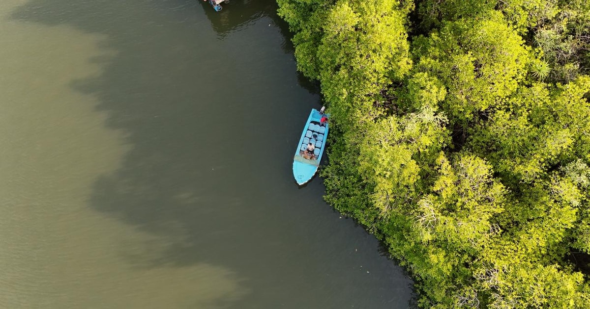 Madu River Boat Cruise & Cinnamon Garden All Inclusive Tour | GetYourGuide