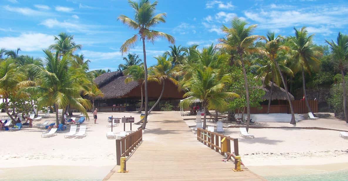 Excursión a la Isla Catalina y snorkel | GetYourGuide