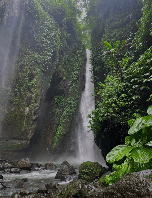 North Bali : Sekumpul & Fiji Waterfall Trekking Real Tickets | GetYourGuide