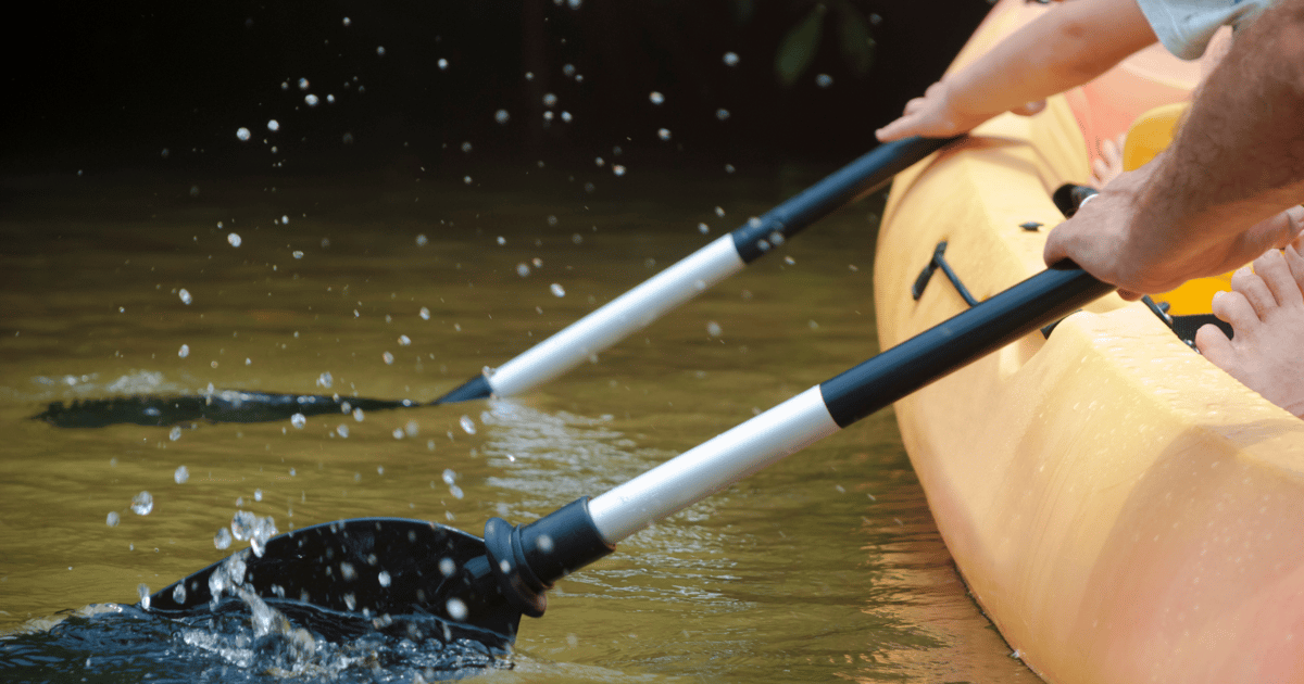 Caroni Bird Sanctuary: Wetlands Kayaking | GetYourGuide