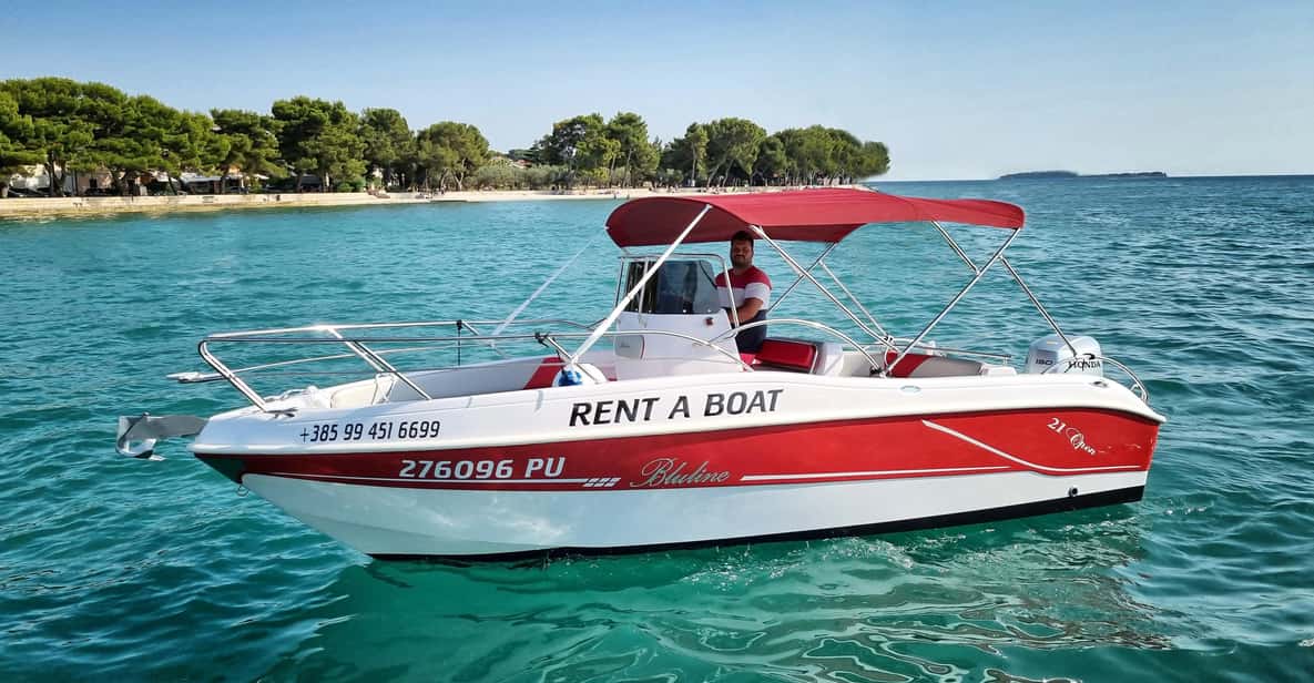 Von Fazana aus: Private Delfin Tour zum Sonnenuntergang | GetYourGuide