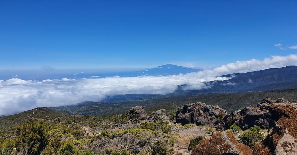 8-day Kilimanjaro climbing Northern Circuit route | GetYourGuide