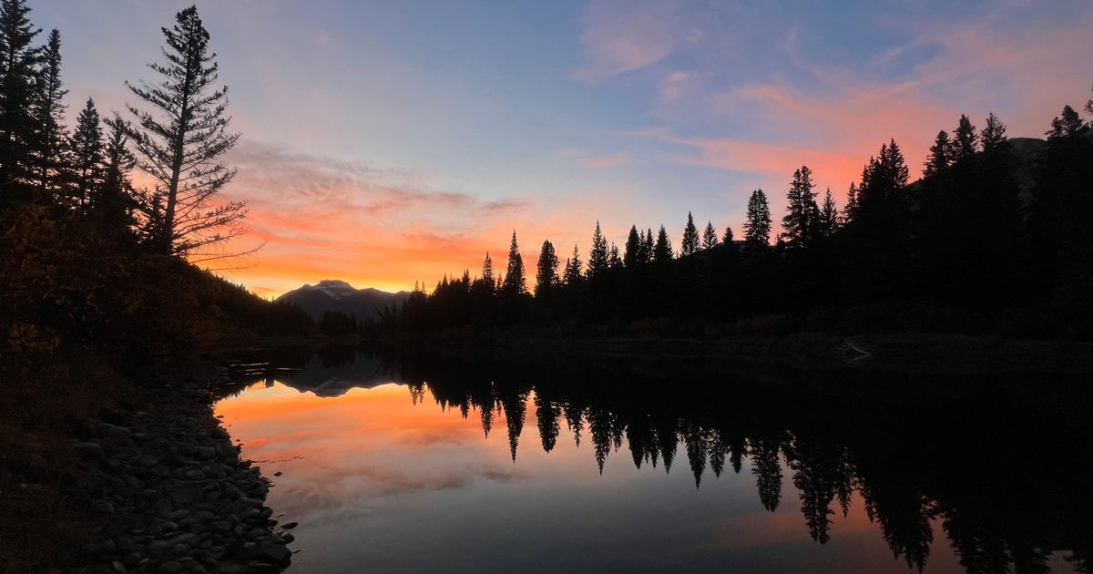 Banff: Grizzly Bear & Nature Walk & Hidden Gem Sunset Tour | GetYourGuide