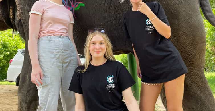 11 Days Séjour De Grand Luxe India Tour | GetYourGuide