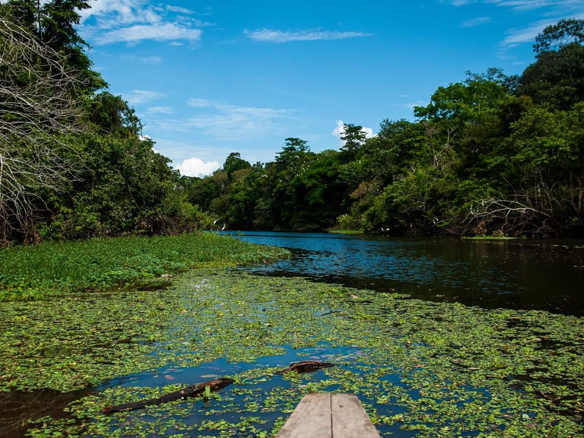 4-Day All Inclusive Guided Jungle Tour from Iquitos | GetYourGuide