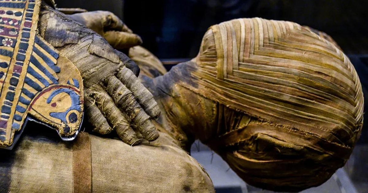 London: British Museum + Führung + Vorzugsleinlass | GetYourGuide