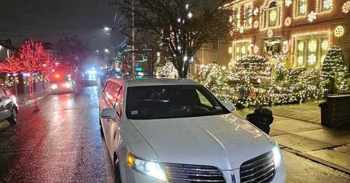 NYC: Dyker Heights Christmas Lights Tour - DYKER HEIGHTS | GetYourGuide