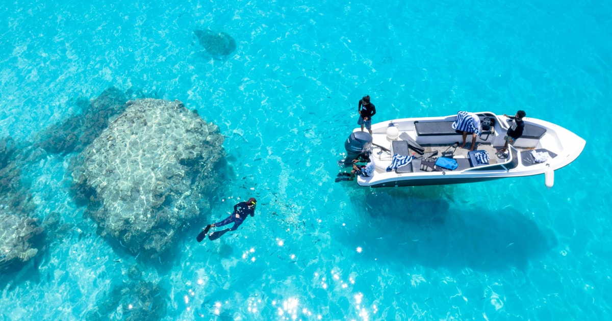 3-Days Wasini Island Dhow Safari and Marine Park Experience | GetYourGuide