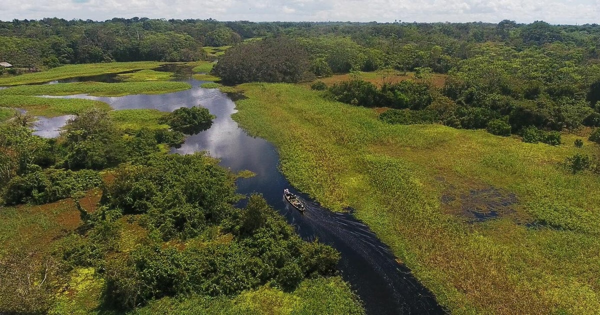 Iquitos: Amazon River and Tribes Day Trip | GetYourGuide