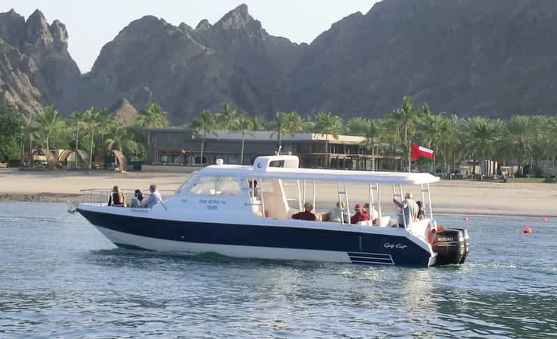 Muscat: Dolphin Watch & Snorkel Excursion | GetYourGuide