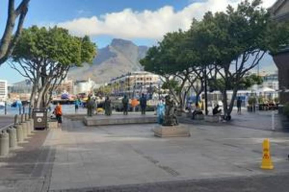Victoria and Alfred Waterfront Walking tour | GetYourGuide