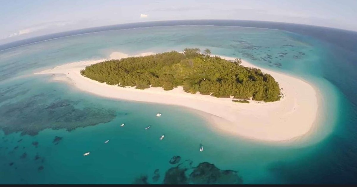 FROM NUNGWI; MNEMBA SNORKELING AND DOLPHIN TOUR | GetYourGuide