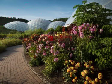 Cornwall: Eden Project Admission Ticket | GetYourGuide