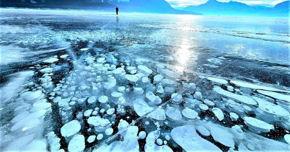Von Canmore/Banff Icefields Parkway & Abraham Lake Bubbles | GetYourGuide