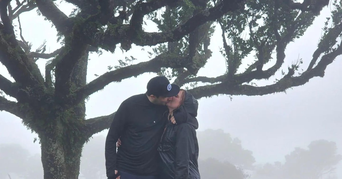 Tour particular: Visita ao Fanal por via terrestre na Madeira ...