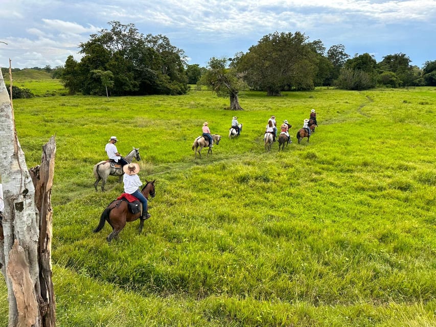 Desde Medellín; (Todo Incluido) La Verdadera Experiencia de un Rancho a ...