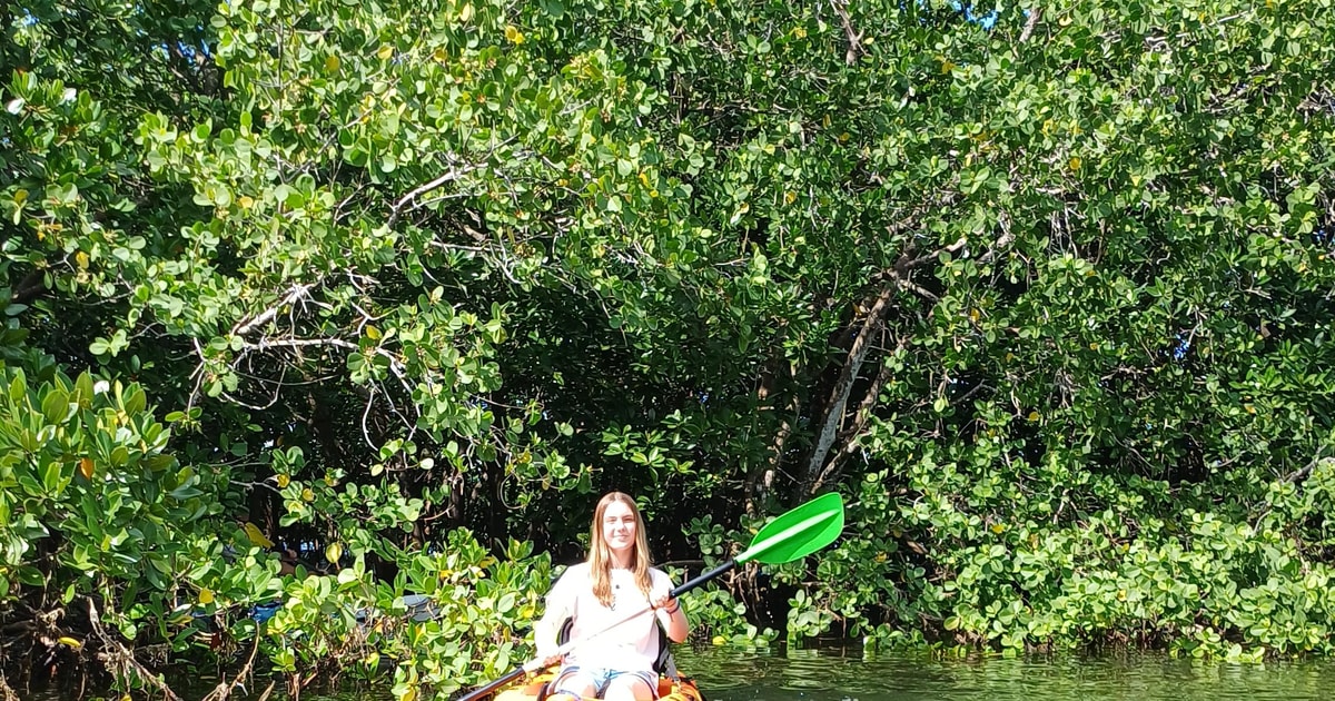 MANGROVE KAYAK TOUR AT UZI ISLAND WITH VILLAGE TOUR | GetYourGuide