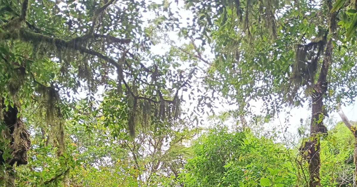 Bali: Mount Lesung Climb & Tamblingan Jungle Trekking Tour | GetYourGuide