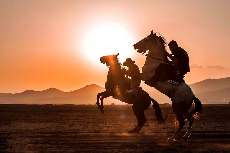 Hurghada: Horse Riding in Desert With Private Transfer | GetYourGuide
