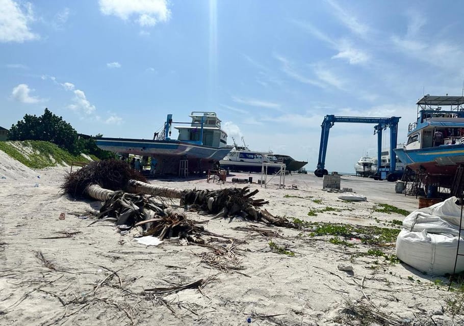 Local island(Himmafushi) tour from Male'/ Hulhumale Maldives | GetYourGuide