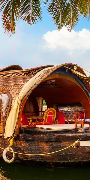 Kochi: 1 Night Alappuzha Backwaters House Boat Cruise Tour | GetYourGuide