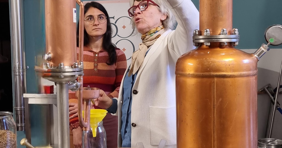 Gravina in Puglia: Distill and taste the Apulian Gin | GetYourGuide