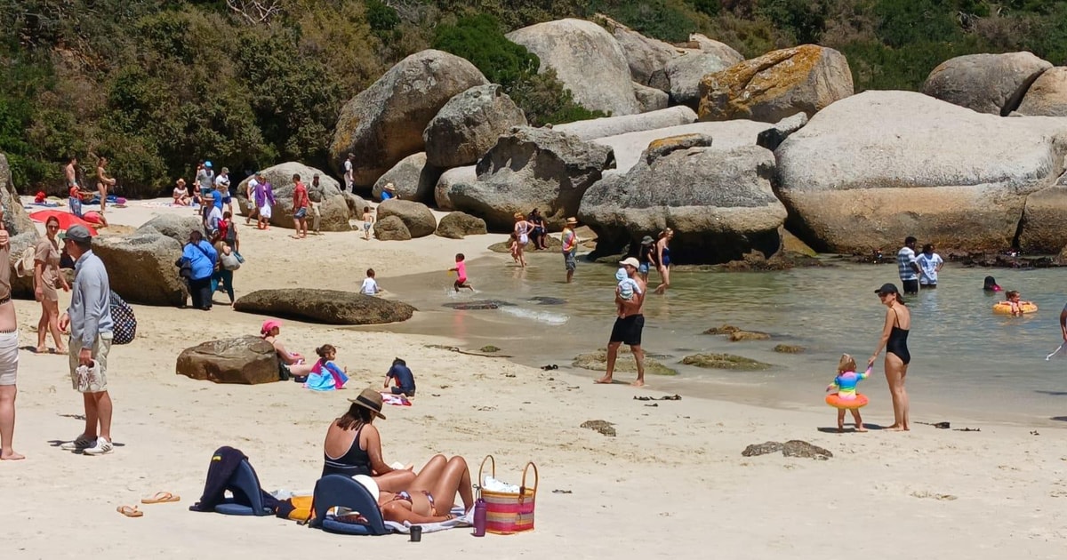 Пляжный день в Boulder's Beach и наблюдение за пингвинами, половина дня ...