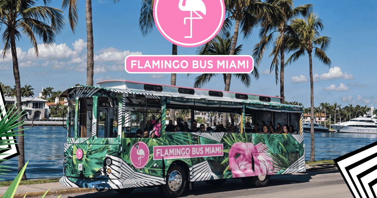 Flamingo Bus Miami Tour | GetYourGuide