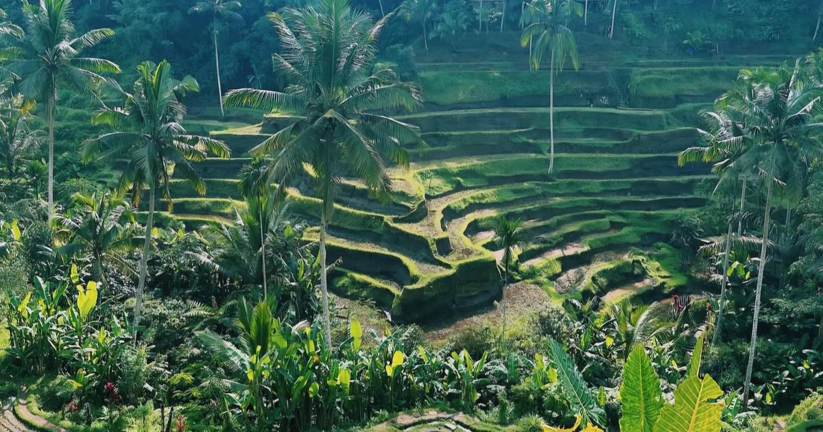 Create Your Own Ubud Itinerary – Private Tour | GetYourGuide