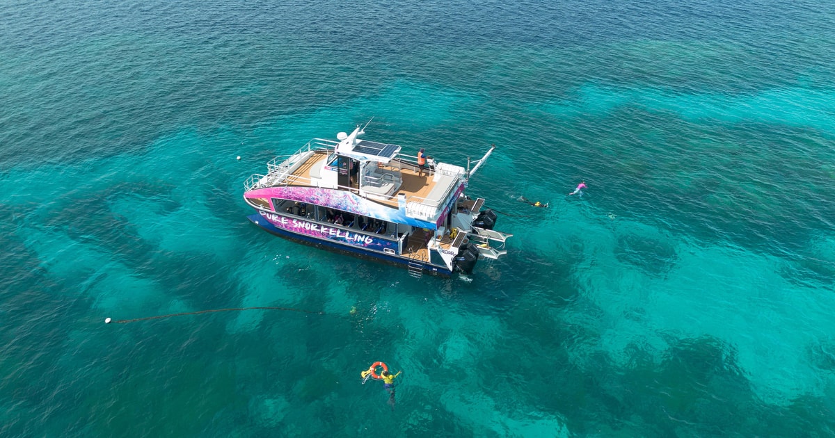 Cairns: All-Inclusive Great Barrier Reef Half-Day Snorkeling | GetYourGuide