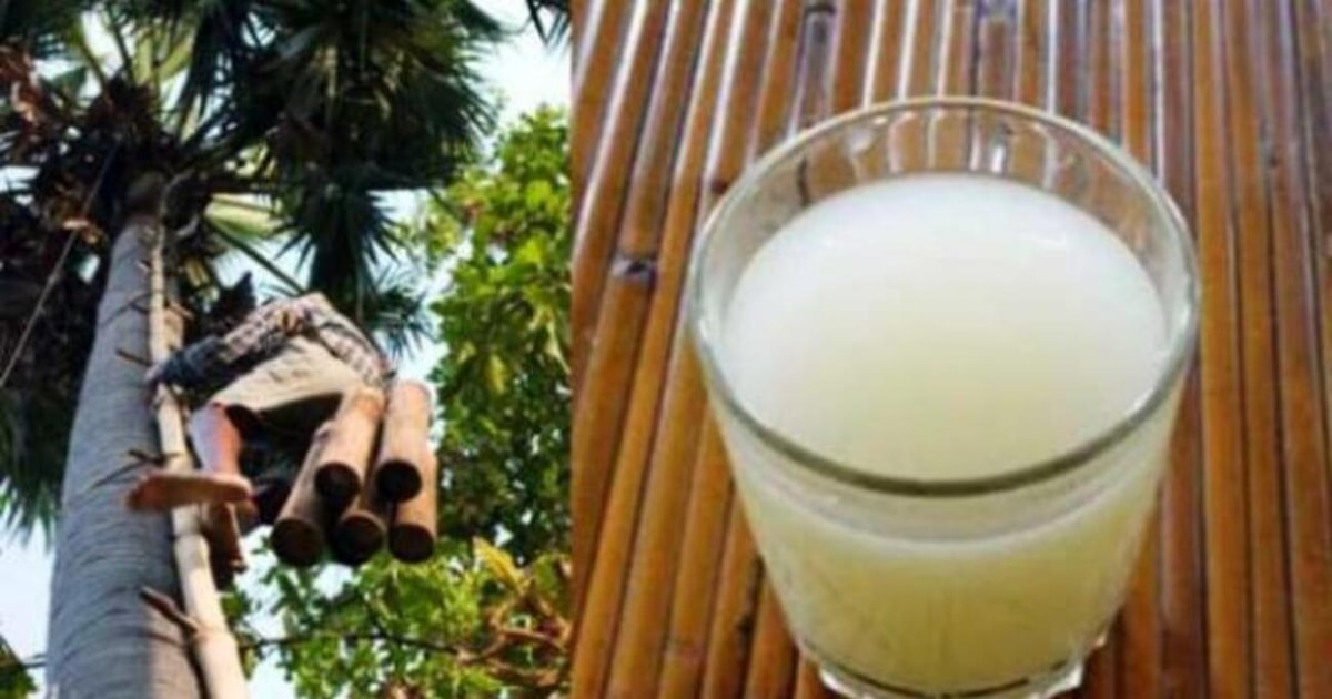 Bali: Private tour Making Balinese Wine and Cooking Class | GetYourGuide