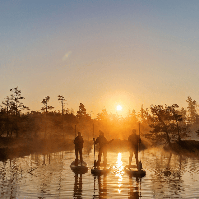 Riga: Sunrise paddle board tour with pick-up (public) | GetYourGuide