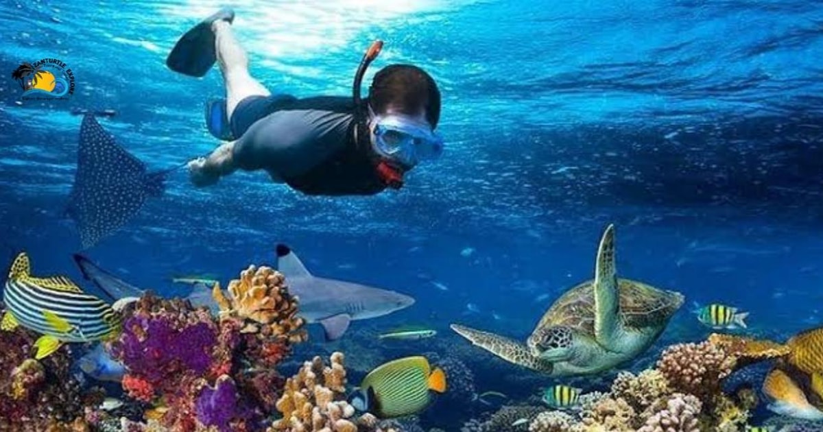 Zanzibar: Tumbatu Island Snorkeling and Sunset Dhow Cruise | GetYourGuide