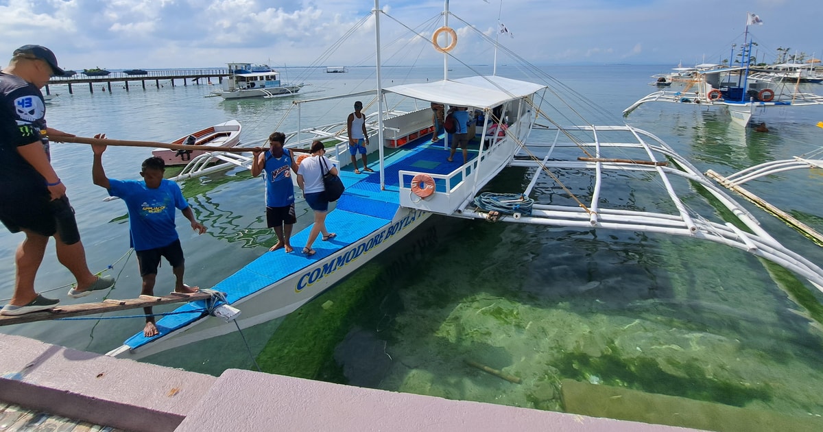 Nalusuan Island Tour | GetYourGuide