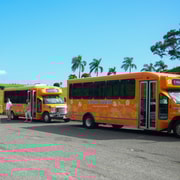 Honolulu: Oahu Island Full-Day Guided Tour by Bus with Lunch | GetYourGuide