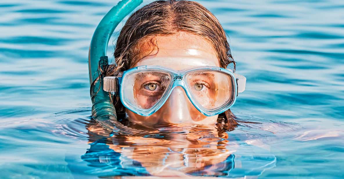 Alghero: Snorkeling tour for small groups with local guide | GetYourGuide