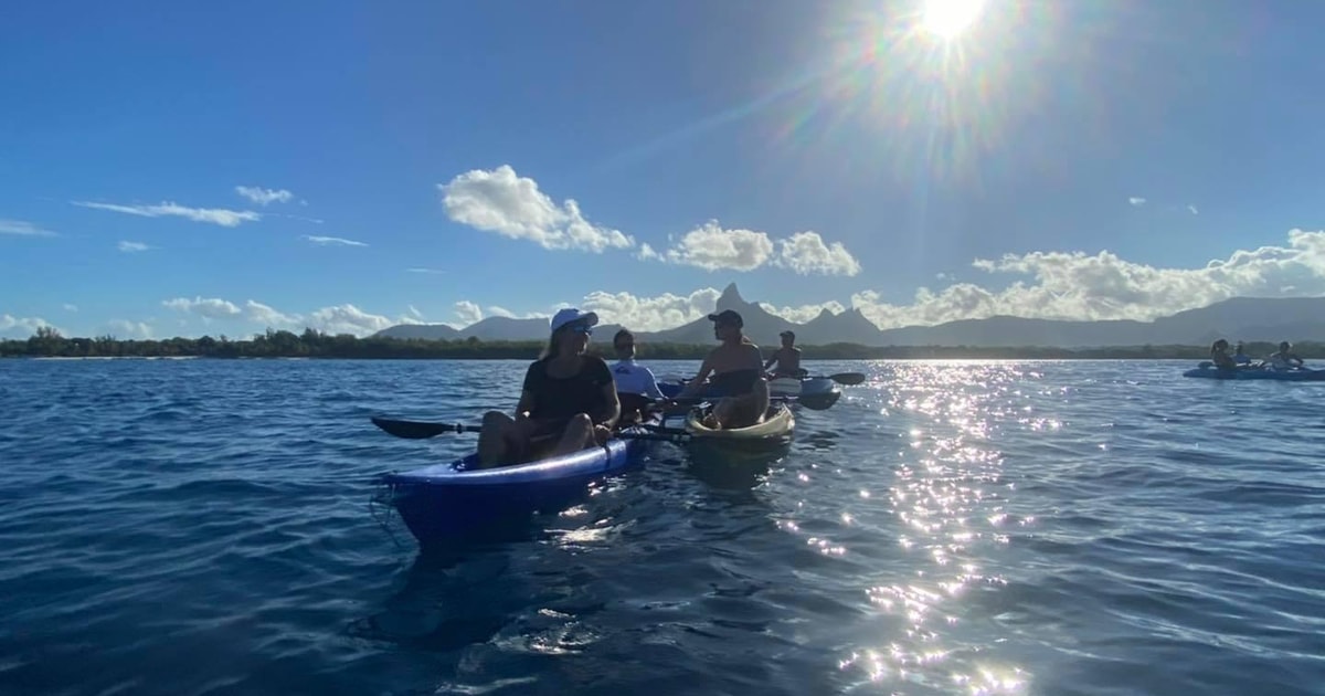 Mauritius: Tamarin Bay Dolphin Watching Kayak Tour | GetYourGuide